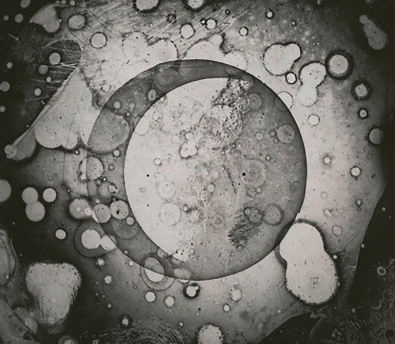 This is the Oldest Surviving Photo of the Moon – Lights in the Dark